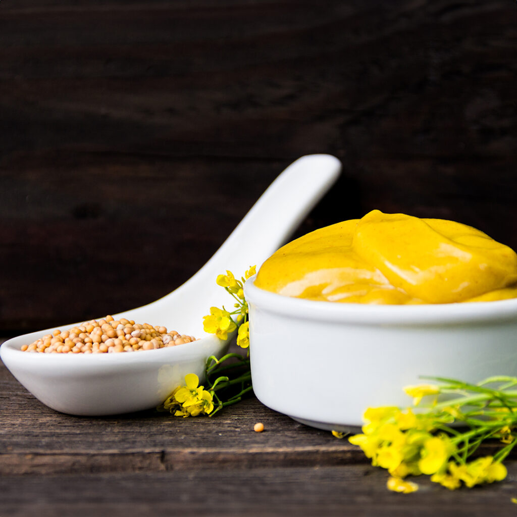 What’s The Difference Between Dijon and Regular Mustard?