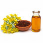 Mustard Has a Long History: See How It Became a Kitchen Staple
