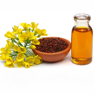 Mustard Has a Long History: See How It Became a Kitchen Staple